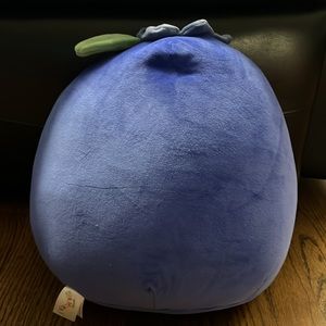 Squishmallows | Toys | Brand New Bluby The Blueberry Squishmallows 2 ...
